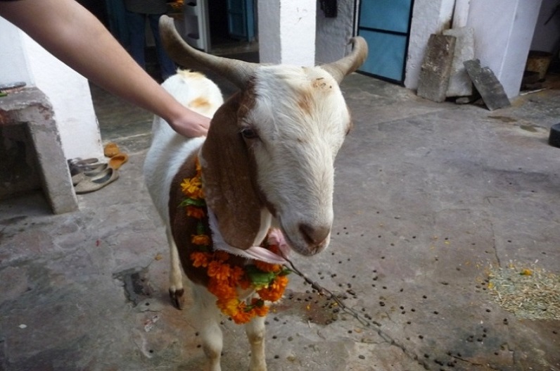 : Abhishek Mishra , November 29, 2022 / 07:50 PM IST