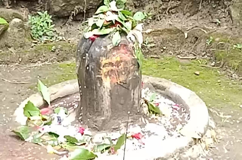 Edited By : Bhavna Sahu November 29, 2022 / 08:32 PM IST