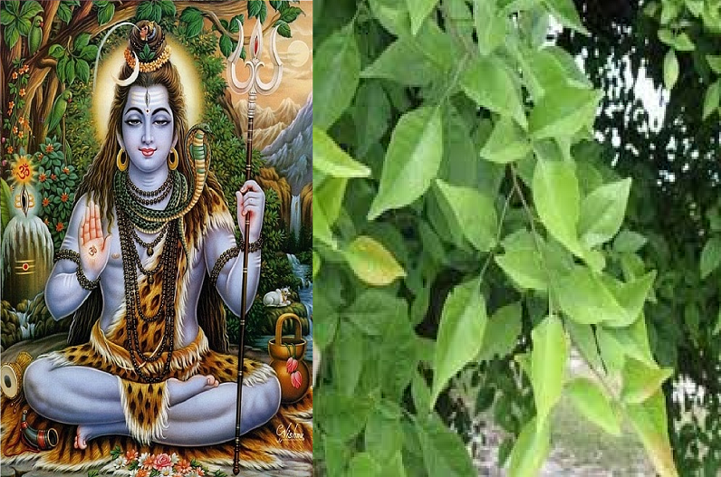 Edited By : Lalit Singh November 29, 2022 / 08:58 AM IST