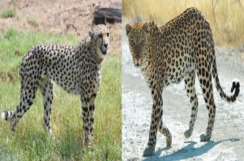 Edited By : Anjali Singh Modified Date: November 29, 2022 / 08:25 PM ...