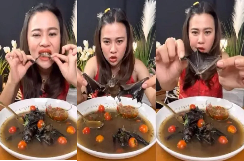 Edited By : Lalit Singh November 29, 2022 / 08:30 PM IST