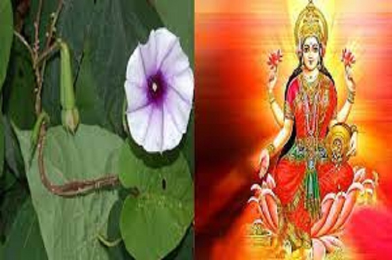 Edited By : Bhavna Sahu Modified Date: November 29, 2022 / 08:05 PM IST ...