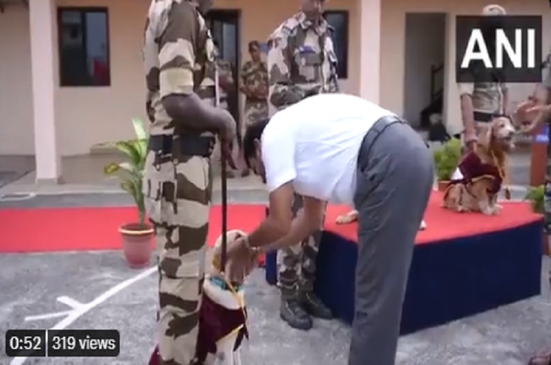 केरल: India news today in hindi 03 November : करीब 10 साल की मेधावी ...