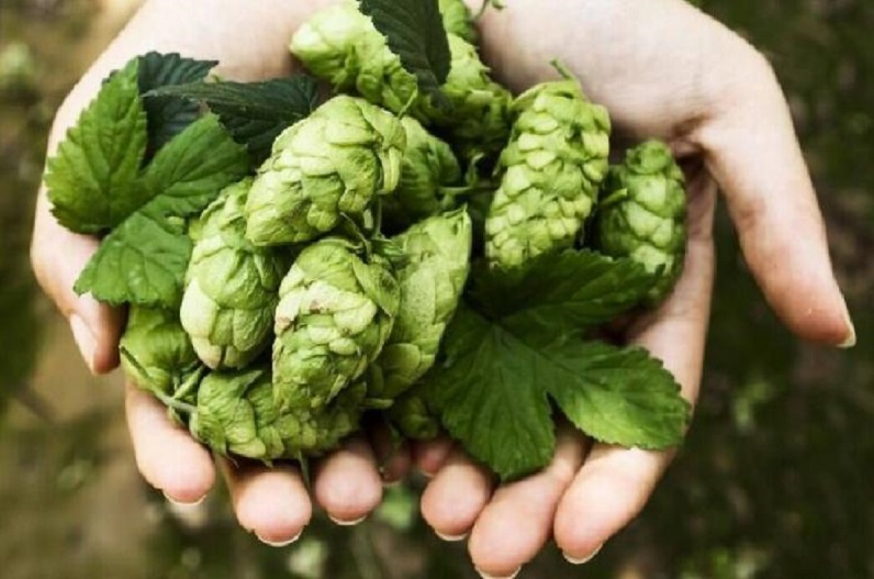 Edited By : Laxmi Vishwakarma November 29, 2022 / 08:35 PM IST