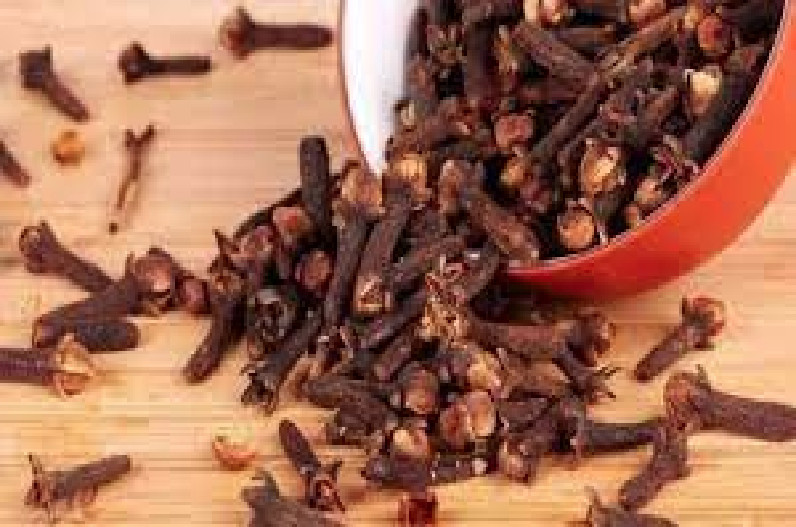 Edited By : deebeshwari panik December 21, 2022 / 07:12 PM IST