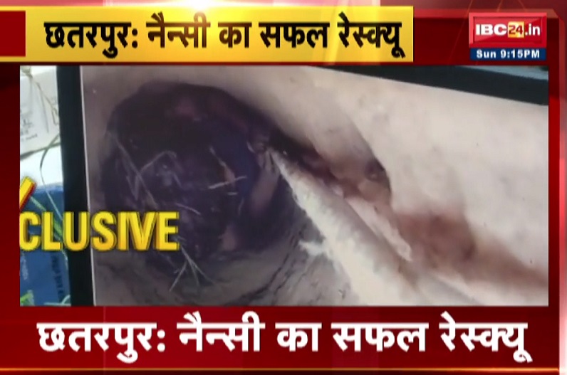 Edited By : karan nepali February 26, 2023 / 09:33 PM IST