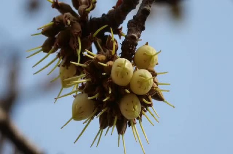 Edited By: Bhavna Sahu , April 14, 2023 / 01:41 PM IST