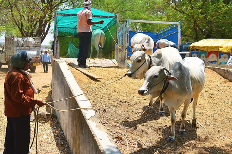 Edited By: Dageshwar Dewangan , April 3, 2023 / 08:31 PM IST