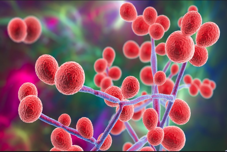 Edited By: Anjali singh , April 9, 2023 / 06:06 PM IST