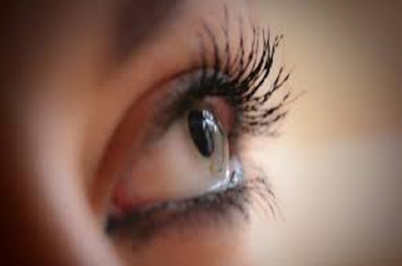 Edited By : karan nepali Modified Date: May 8, 2023 / 10:07 PM IST ...