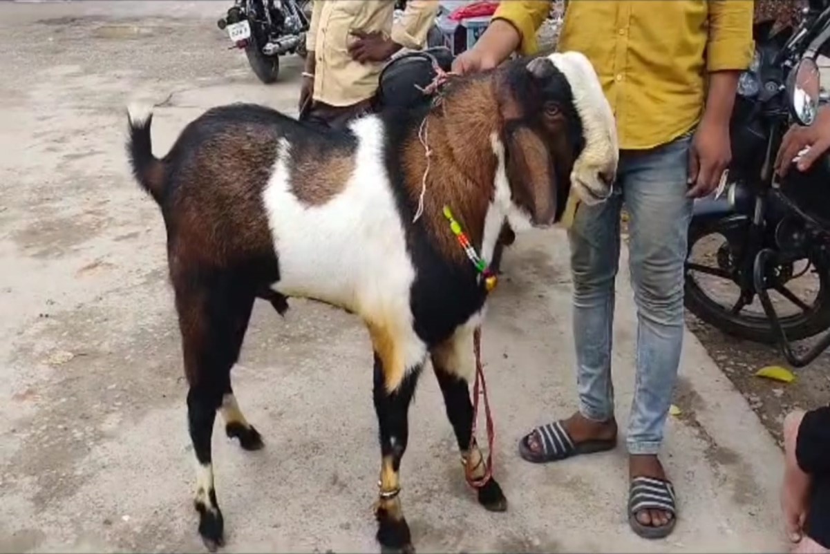 Edited By: Deepak Dilliwar , June 29, 2023 / 01:53 PM IST