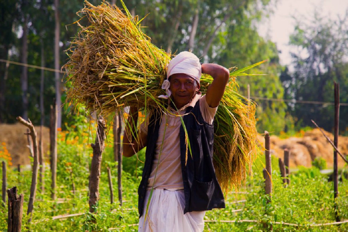 Edited By : satya prakash Modified Date: July 16, 2023 / 11:06 PM IST ...