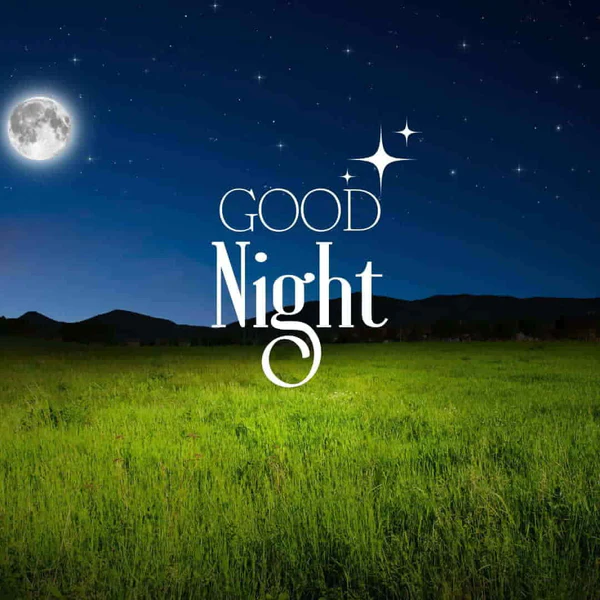 Good Night shayari images