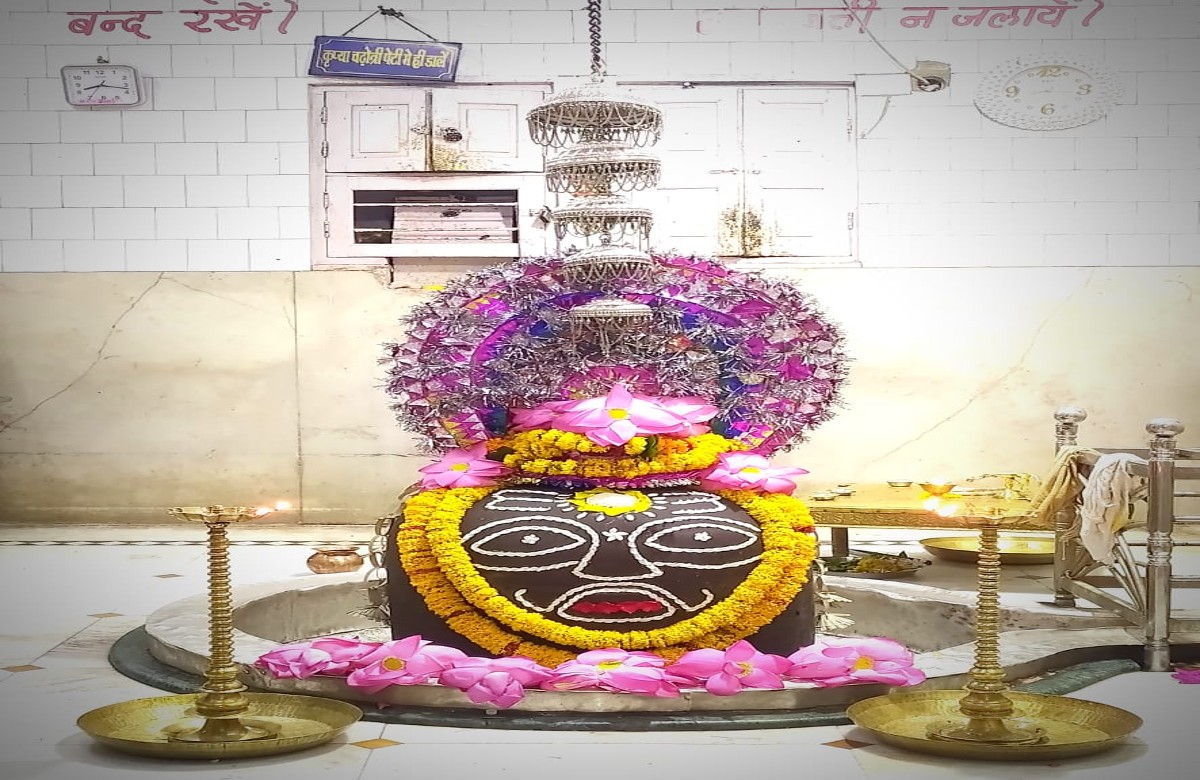 Edited By : Shyam Dwivedi July 4, 2023 / 02:57 PM IST