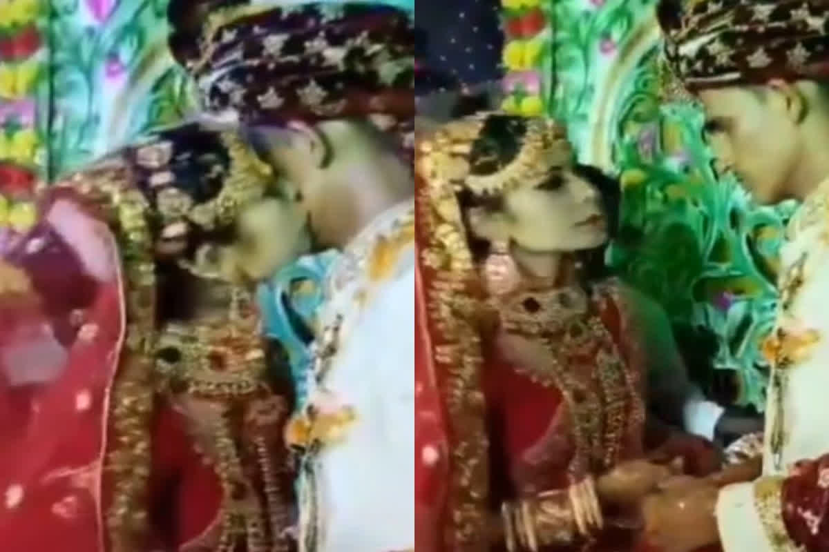 Edited By : Deepak Dilliwar Modified Date: October 26, 2023 / 02:30 PM IST , Published Date ...