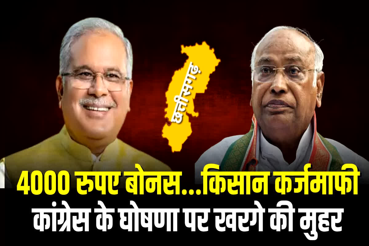 Edited By : Deepak Dilliwar Modified Date: November 4, 2023 / 05:55 PM IST , Published Date ...