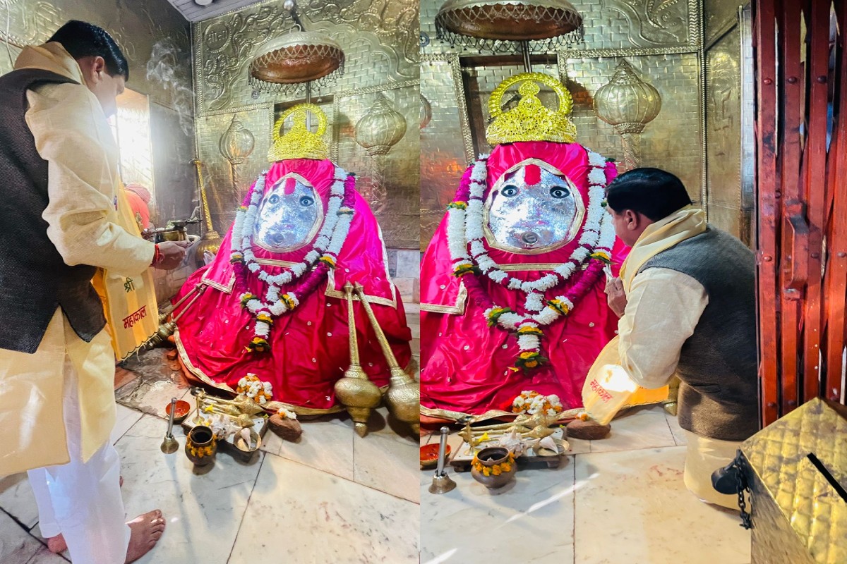 Edited By : Anjali Singh December 13, 2023 / 11:26 AM IST