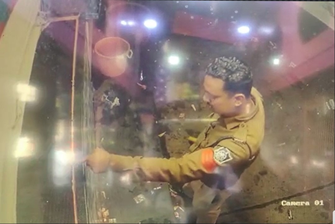 Edited By : Anjali Singh January 2, 2024 / 05:11 PM IST