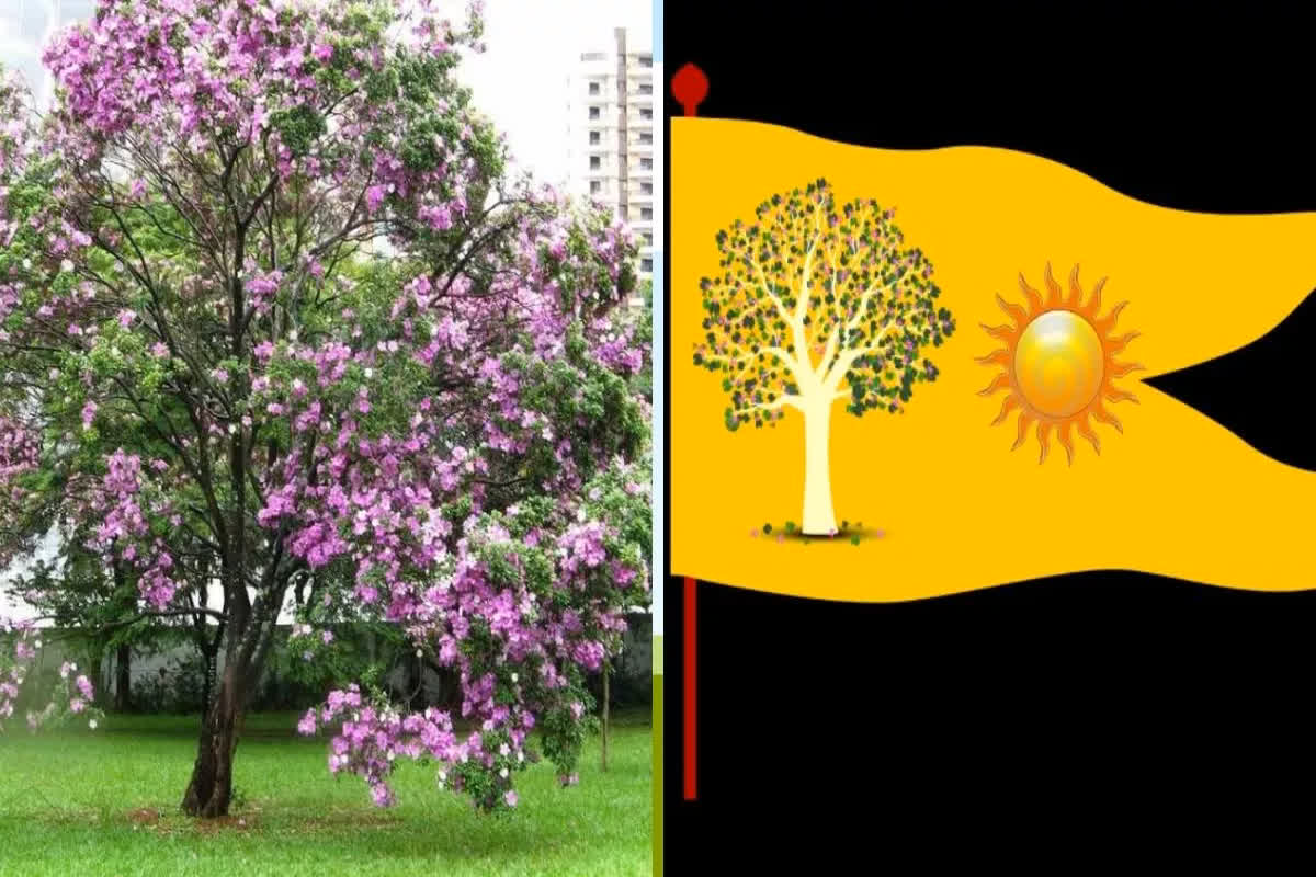 Edited By : Laxmi Vishwakarma Modified Date: January 11, 2024 / 02:47 ...