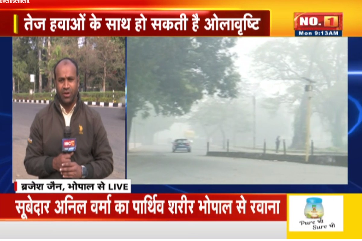 Edited By : Anjali Singh February 12, 2024 / 09:41 AM IST