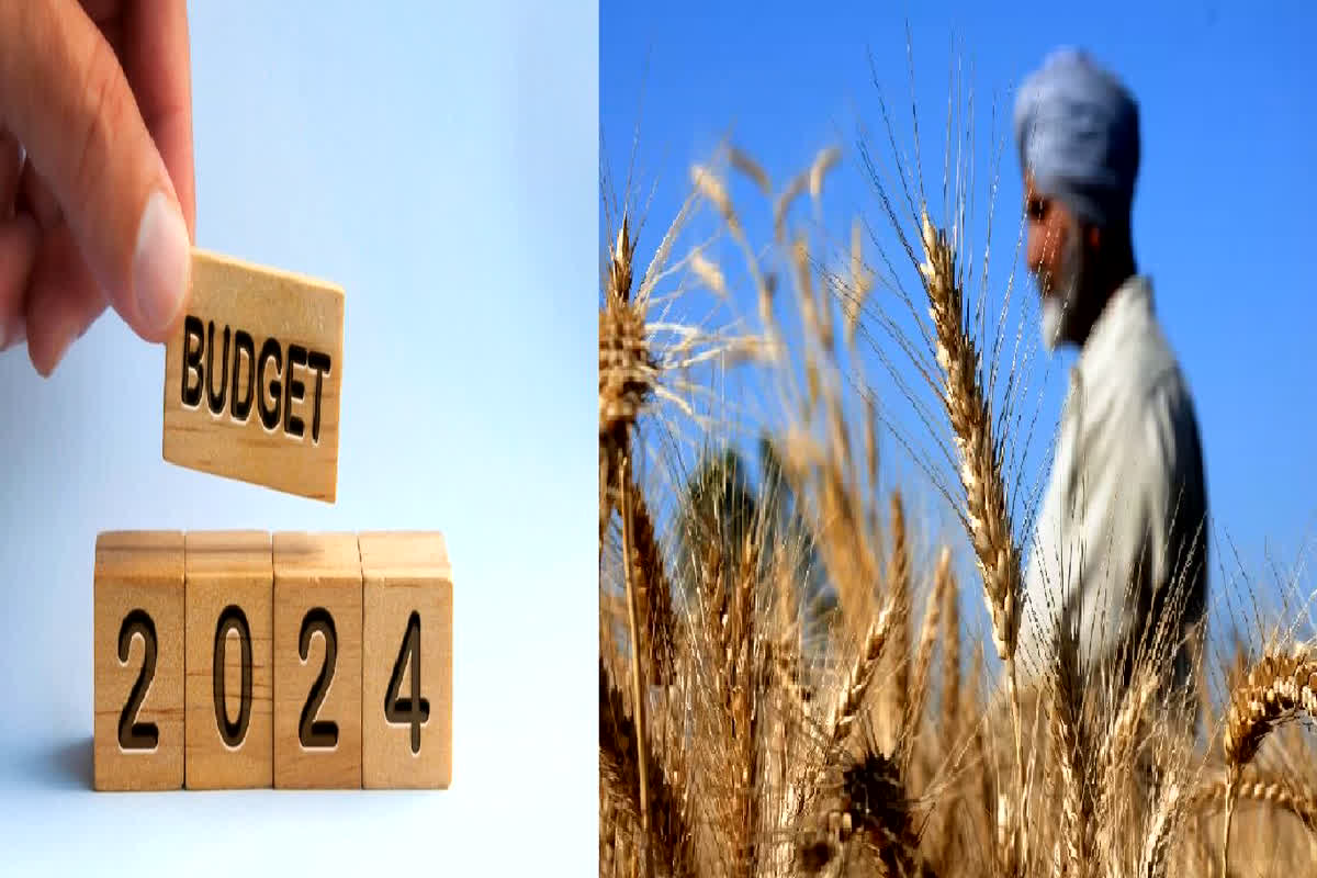 Edited By : Deepak Dilliwar Modified Date: February 8, 2024 / 01:23 PM IST , Published Date ...