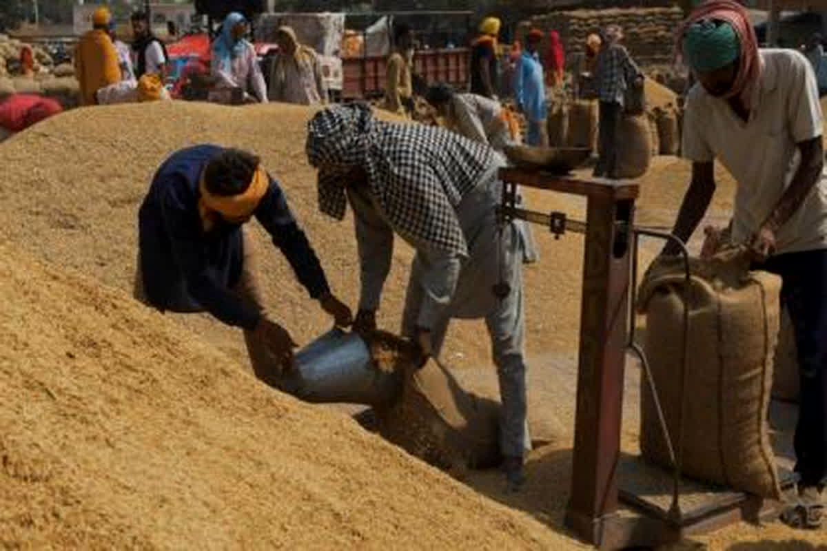 , March 7, 2024 / 07:29 AM IST